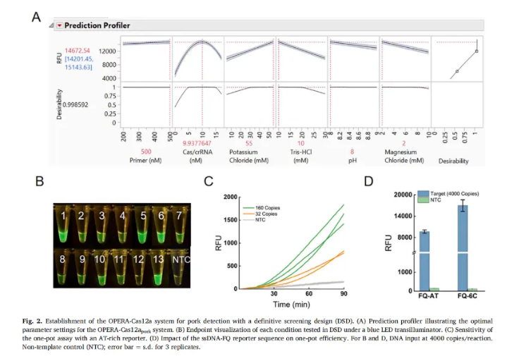 OPERA-Cas12a: A streamlined one-pot system for specific and sensitive ...