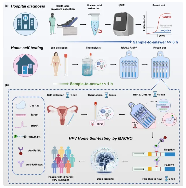 Deep Learning-Enhanced Hand-Driven Spatial Encoding Microfluidics for ...